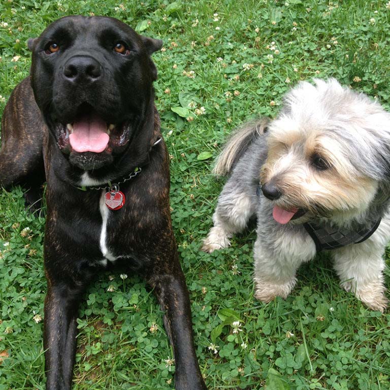 About Us | Michal Golan